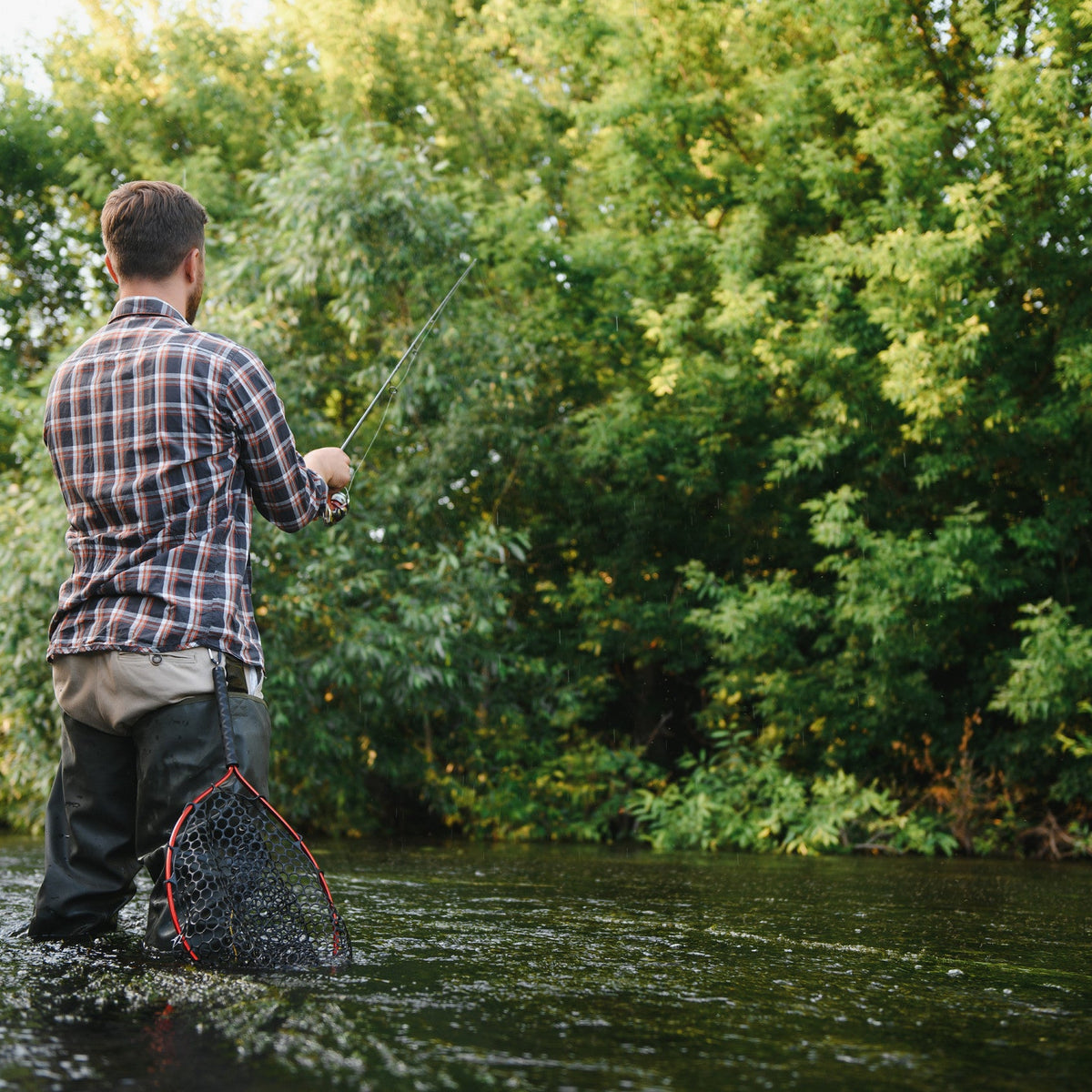 Shad Fishing Season in NC: When to Hit the Water | Neuse Sport Shop