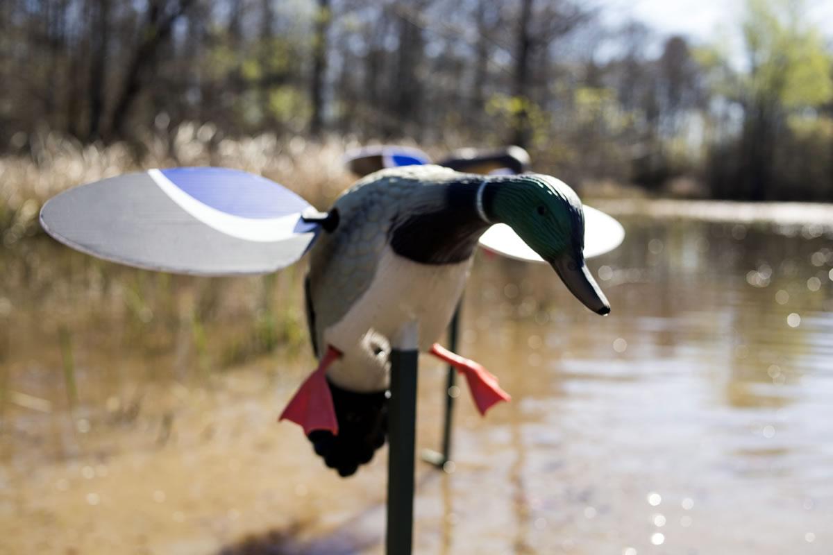 MOJO Outdoors Baby MOJO Mallard® Drake Spinning Wing Decoy – Neuse ...