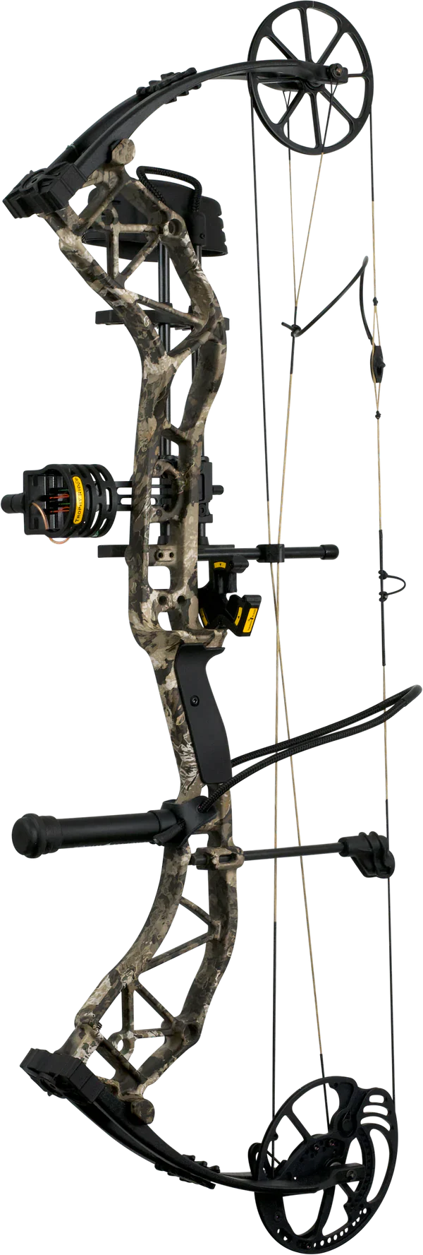 bear compound bow